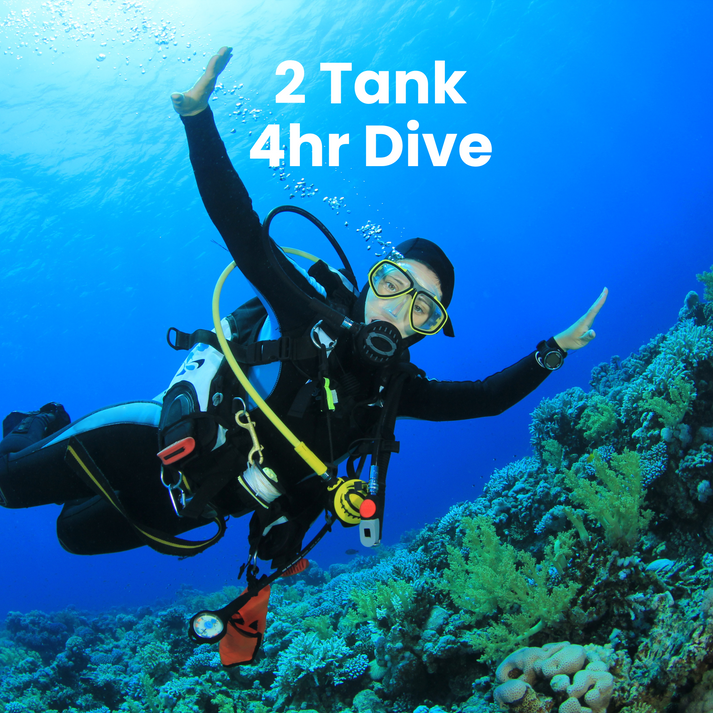 Local Scuba Diving 2 Tank Dive – Visit Belize Tours