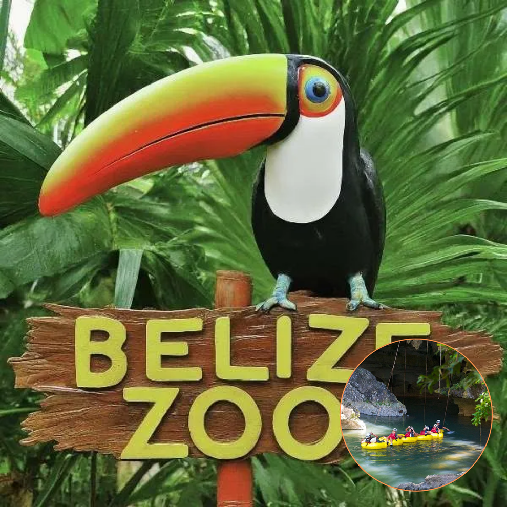 Belize Zoo & Cave Tubing – Visit Belize Tours